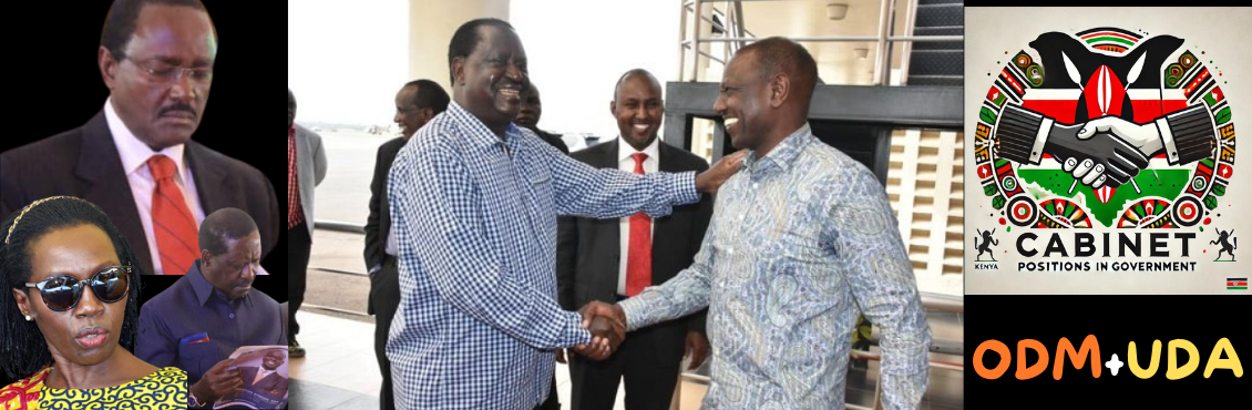 From Resistance to Realignment: Understanding ODM’s Strategic Vibration ...